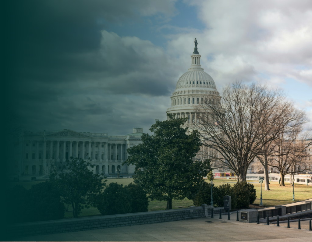 The Path to Public Office: Election and Appointment Process - Plural Policy